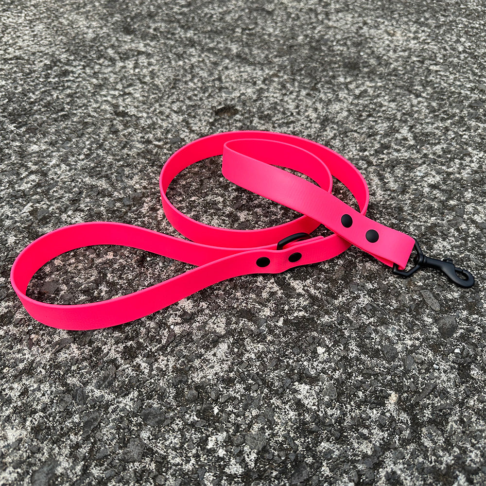 CUSTOM BIOTHANE LEASH Hot Pink – Last State Leather